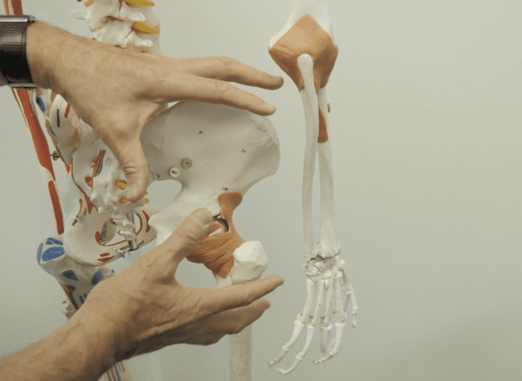 Genetic Expression – Matrix Repatterning for Practitioners