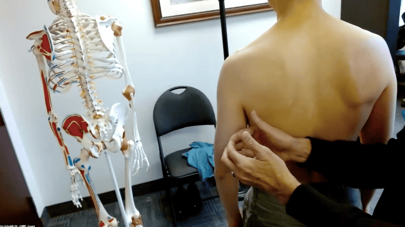 2024 Symposium – Matrix Repatterning for Practitioners